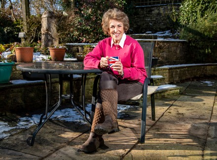Edwina Currie Writer Broadcaster Former Conservative Editorial Stock ...