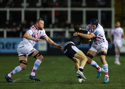 Newcastle Falcons v Bristol Bears, Gallagher Premiership, Rugby Union ...