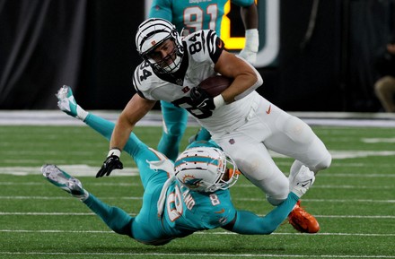 Cincinnati Bengals Tight End Mitchell Wilcox Editorial Stock Photo ...