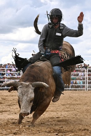 Riders Take Part Deni Rodeo On Editorial Stock Photo - Stock Image ...