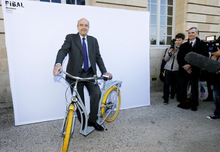 French Designer Philippe Starck Posing During Editorial Stock Photo ...