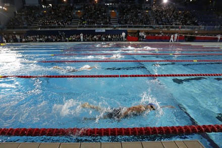 French Swimming Championships 2013, Rennes, France - 14 Apr 2013 Stock ...
