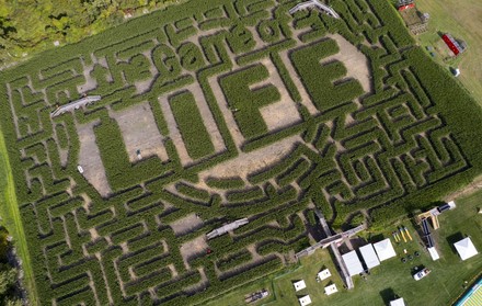 Aerial Photo Made Drone Corn Maze Editorial Stock Photo - Stock Image ...