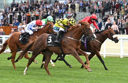 ascot races Stock Photos (Exclusive) | Shutterstock