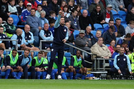 Gavin Whyte Cardiff City Action Editorial Stock Photo - Stock Image ...