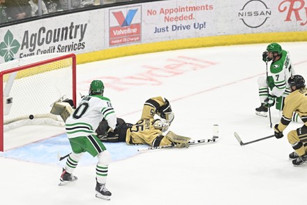 North Dakota Fighting Hawks Goaltender Drew Editorial Stock Photo - Stock Image | Shutterstock