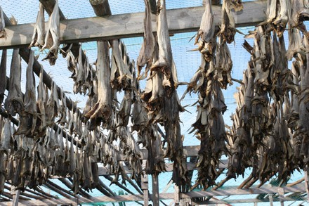 42 Dried fish racks Stock Pictures, Editorial Images and Stock Photos ...