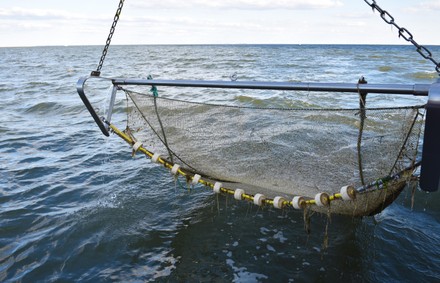250 Ship nets Stock Pictures, Editorial Images and Stock Photos ...