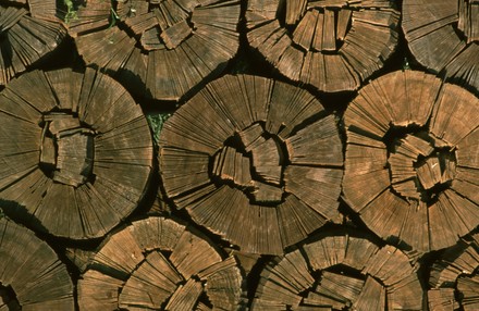 Firewood Split Logs Editorial Stock Photo - Stock Image | Shutterstock