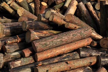17 Large wooden log Stock Pictures, Editorial Images and Stock Photos ...
