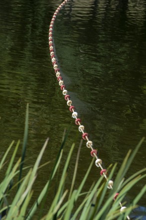 2,000 Sea marks Stock Pictures, Editorial Images and Stock Photos ...