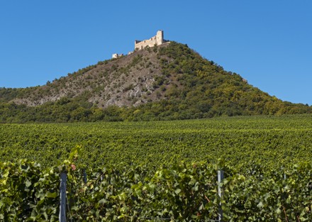 Vineyards Ruined Divci Hrady Devicky Maidenburg Editorial Stock Photo ...