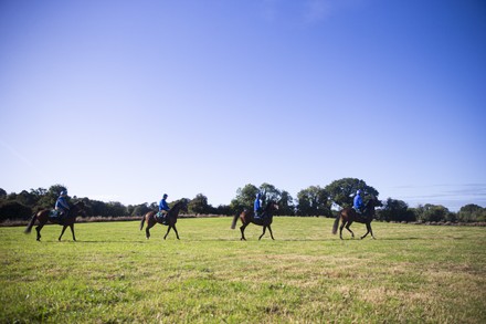 __COUNT__ imágenes de Lorna Fowler Open Morning, Rahinston, Summerhill ...