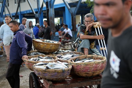 Fishermen Load Fish Paddy Cab Traditional Editorial Stock Photo - Stock ...