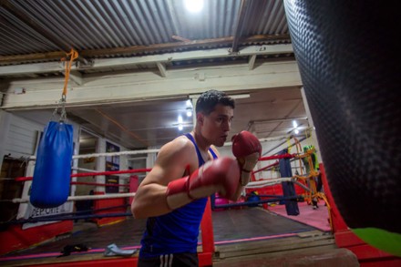 3,000 Boxing competition Stock Pictures, Editorial Images and Stock ...