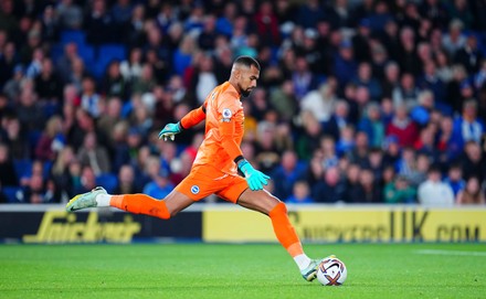 Brighton Goalkeeper Robert Sanchez Editorial Stock Photo - Stock Image ...