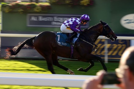 Shaquille 1 Ridden By Graham Lee Editorial Stock Photo - Stock Image ...