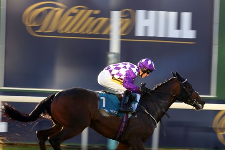 Shaquille 1 Ridden By Graham Lee Editorial Stock Photo - Stock Image ...
