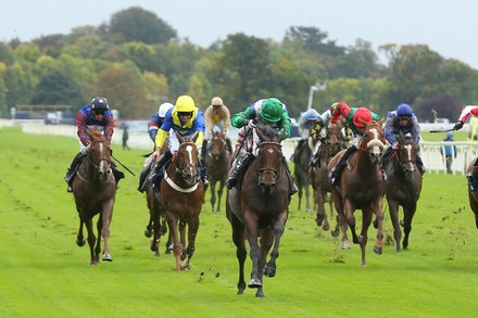 Betweenthesticks 5 Ridden By Rose Dawes Editorial Stock Photo - Stock ...