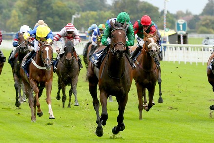 Betweenthesticks 5 Ridden By Rose Dawes Editorial Stock Photo - Stock ...