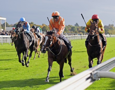 Betweenthesticks Rose Dawes Wins Right Looking Editorial Stock Photo ...