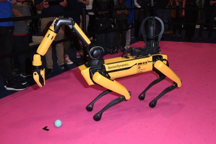 Boston Dynamics Robot Editorial Stock Photo - Stock Image | Shutterstock