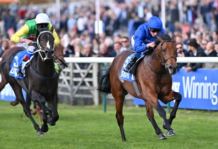 newmarket races Stock Photos (Exclusive) | Shutterstock