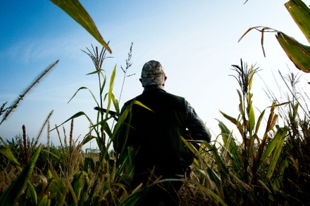 1,000 Hunting rifle Stock Pictures, Editorial Images and Stock Photos ...