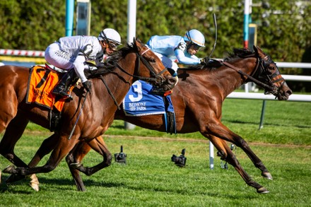 2,000 American horse racing Stock Pictures, Editorial Images and Stock ...