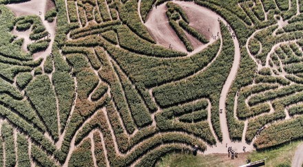 Richardson Adventure Farm corn maze, Spring Grove, USA - 08 Oct 2022 ...