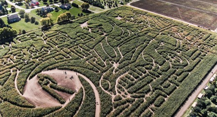 250 Corn maze Stock Pictures, Editorial Images and Stock Photos ...