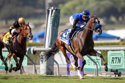 2,000 American horse racing Stock Pictures, Editorial Images and Stock ...