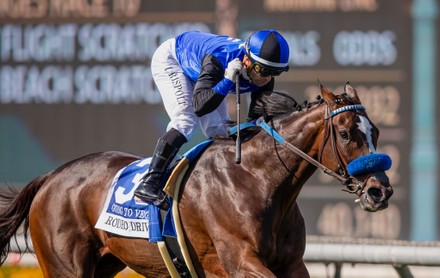 2,000 American horse racing Stock Pictures, Editorial Images and Stock ...