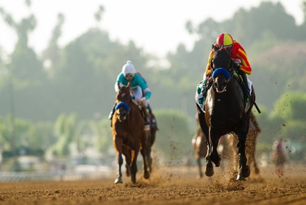 2,000 American horse racing Stock Pictures, Editorial Images and Stock ...