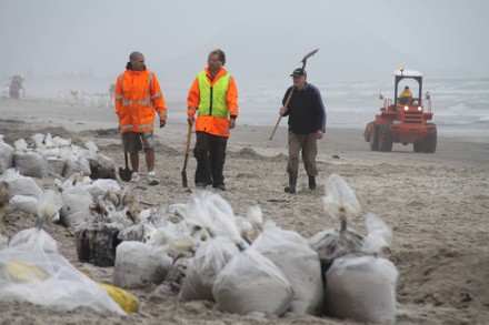 Cleanup Crews Hard Work Cleaning Shores Editorial Stock Photo - Stock ...