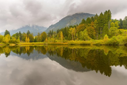 85 Bog ponds Stock Pictures, Editorial Images and Stock Photos ...