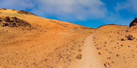 Tenerife National Park World Heritage Site Editorial Stock Photo ...