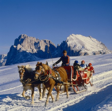 5 Sled carts Stock Pictures, Editorial Images and Stock Photos ...