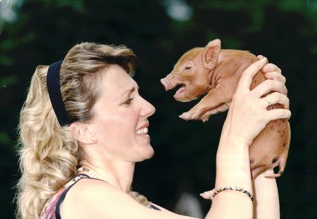 Piglet Born Peggy Tamworth Pig Sumo Editorial Stock Photo - Stock Image ...