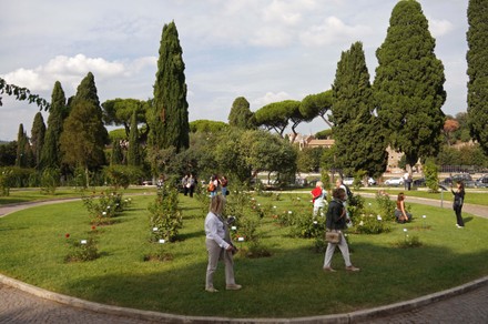People Visit Rome Rose Garden Rome Editorial Stock Photo - Stock Image ...