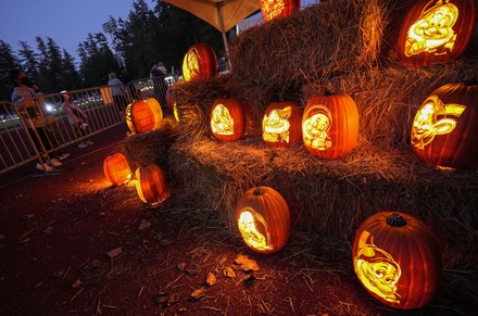People Walk Through Illuminated Pumpkin Tunnel Editorial Stock Photo ...