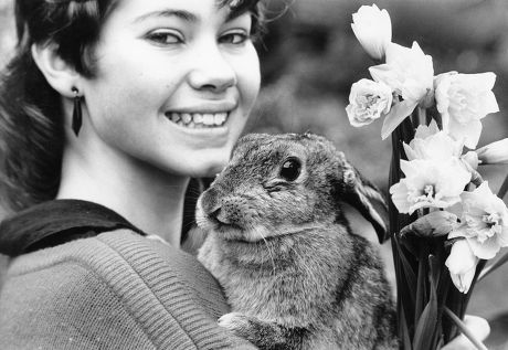 38 Rescued rabbit Stock Pictures, Editorial Images and Stock Photos ...