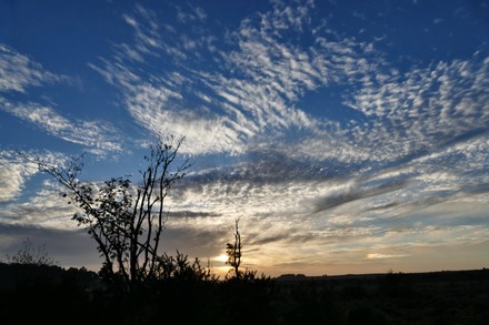 5,000 Misty weather Stock Pictures, Editorial Images and Stock Photos ...