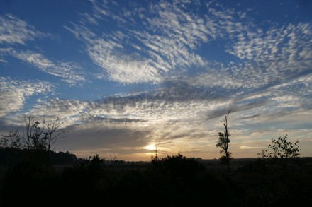 5,000 Misty weather Stock Pictures, Editorial Images and Stock Photos ...