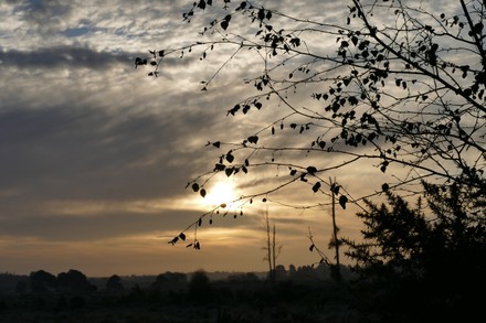 5,000 Misty weather Stock Pictures, Editorial Images and Stock Photos ...