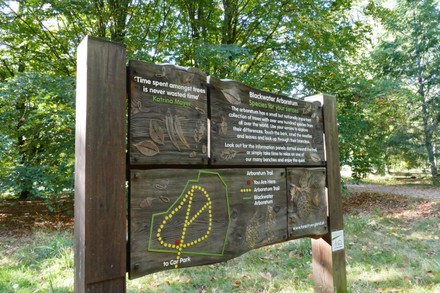 Carved Wooden Information Boards Around Trail Editorial Stock Photo ...