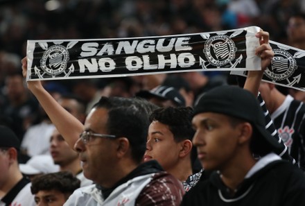 Fans Corinthians Cheer Their Team During Editorial Stock Photo - Stock ...
