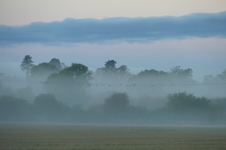 5,000 Misty weather Stock Pictures, Editorial Images and Stock Photos ...