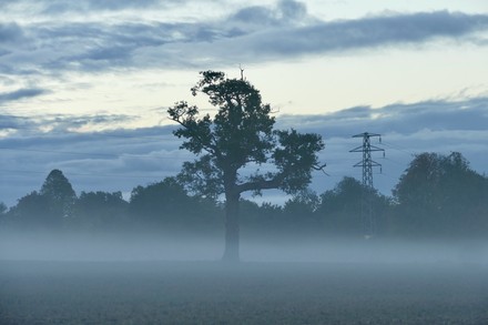 5,000 Misty weather Stock Pictures, Editorial Images and Stock Photos ...