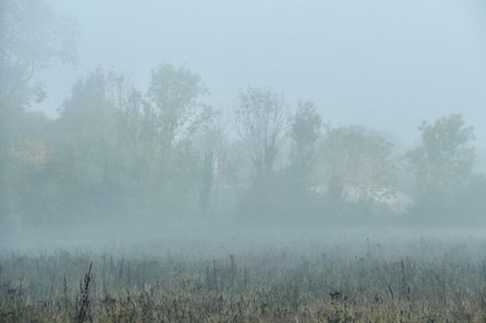 5,000 Misty weather Stock Pictures, Editorial Images and Stock Photos ...